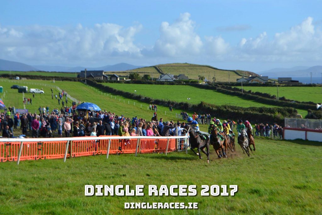 Dingle Races - Stay YNA