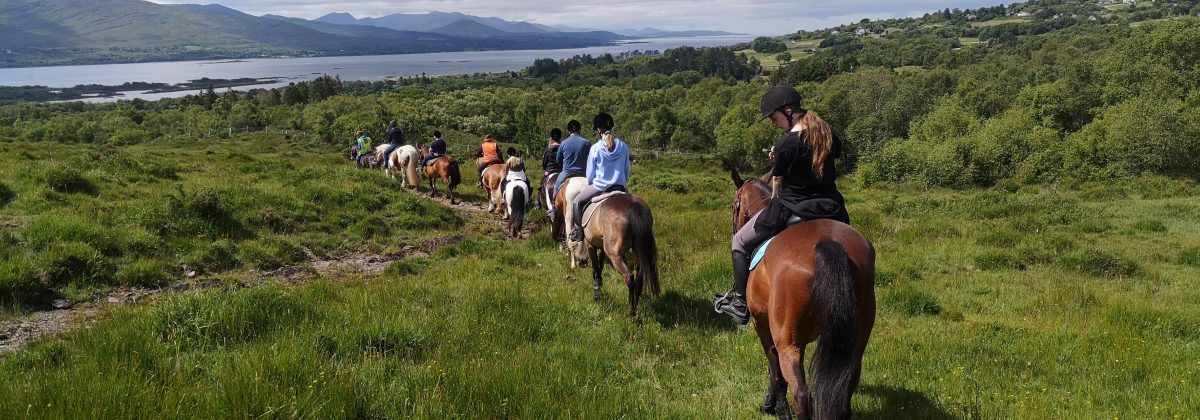Discover Kenmare, Ireland: The Hidden Gem of the Wild Atlantic Way ...